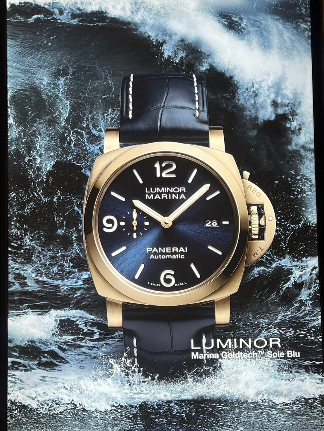 【定番モデルの最高峰】PAM01112 – WING REVOLUTION